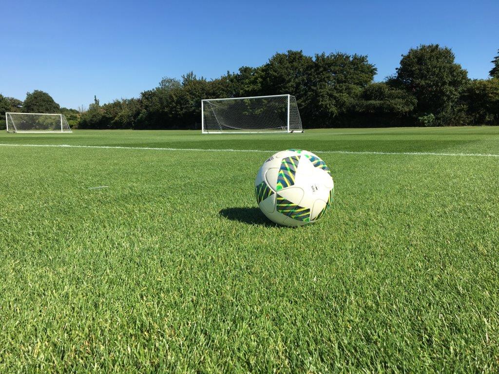 HERO Hybrid Grass | HG Turf