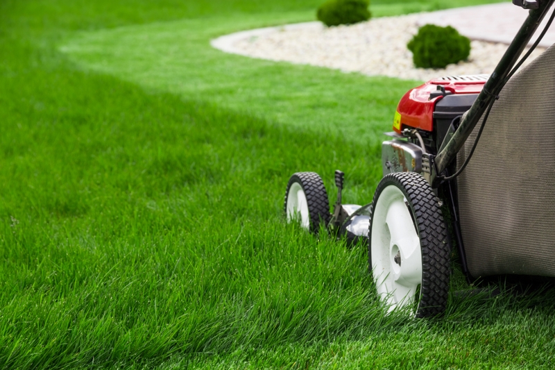 How to prepare for your natural turf | HG Turf