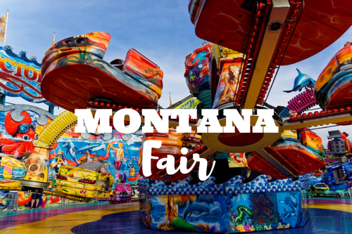 Fun Activities at Montana State Fair