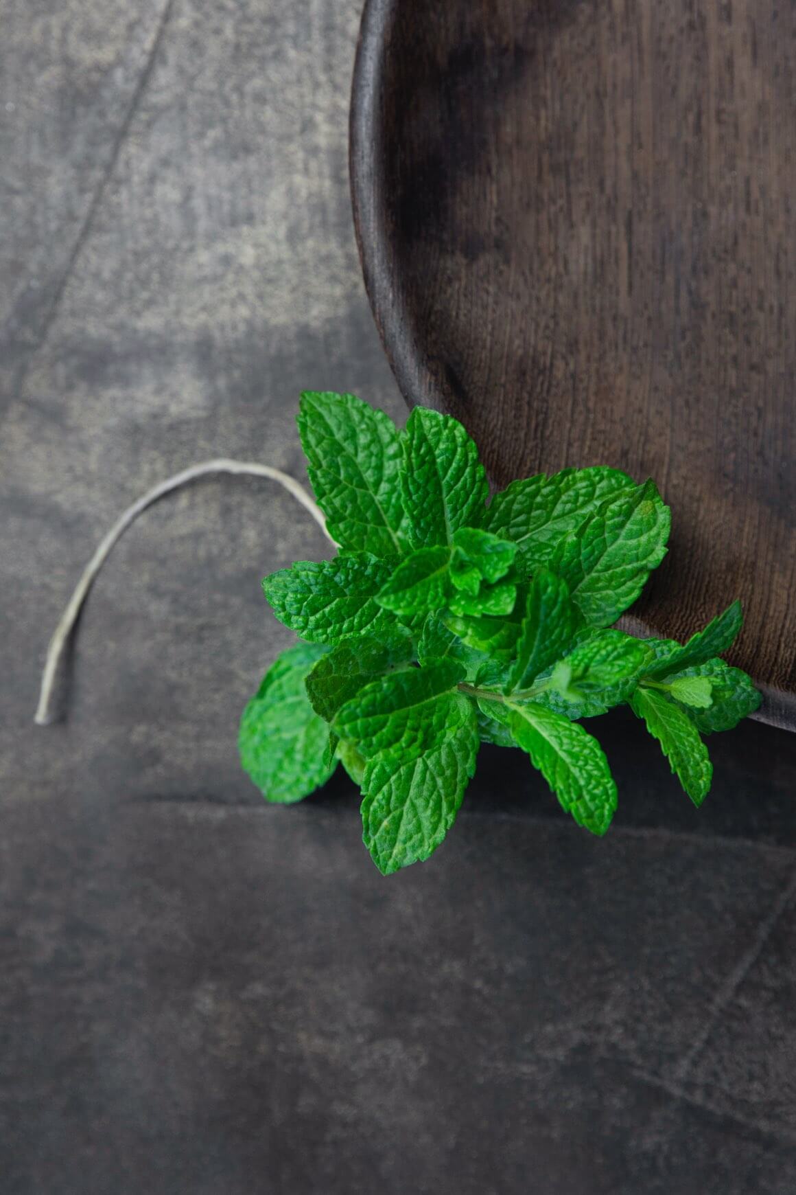 Marokkaanse munt | Herbachef