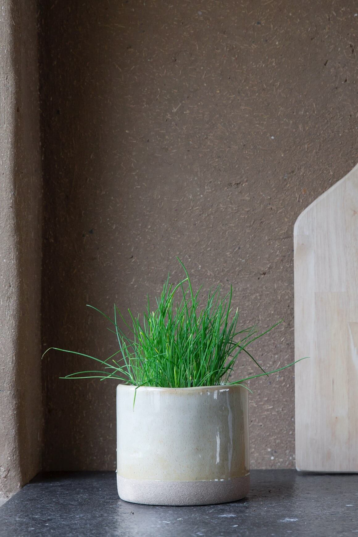 Bieslook | Herbachef