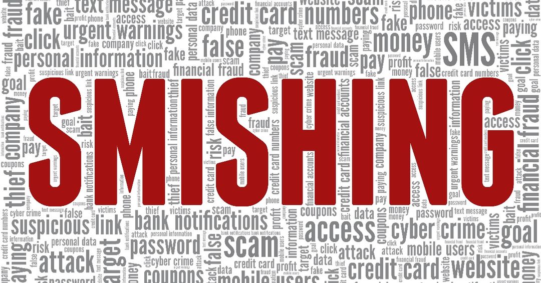 Managed IT Services and Web Design in Schaumburg