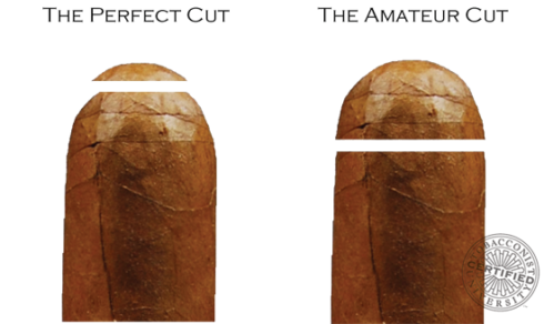 How to enjoy cigars, a beginner's guide (part one)