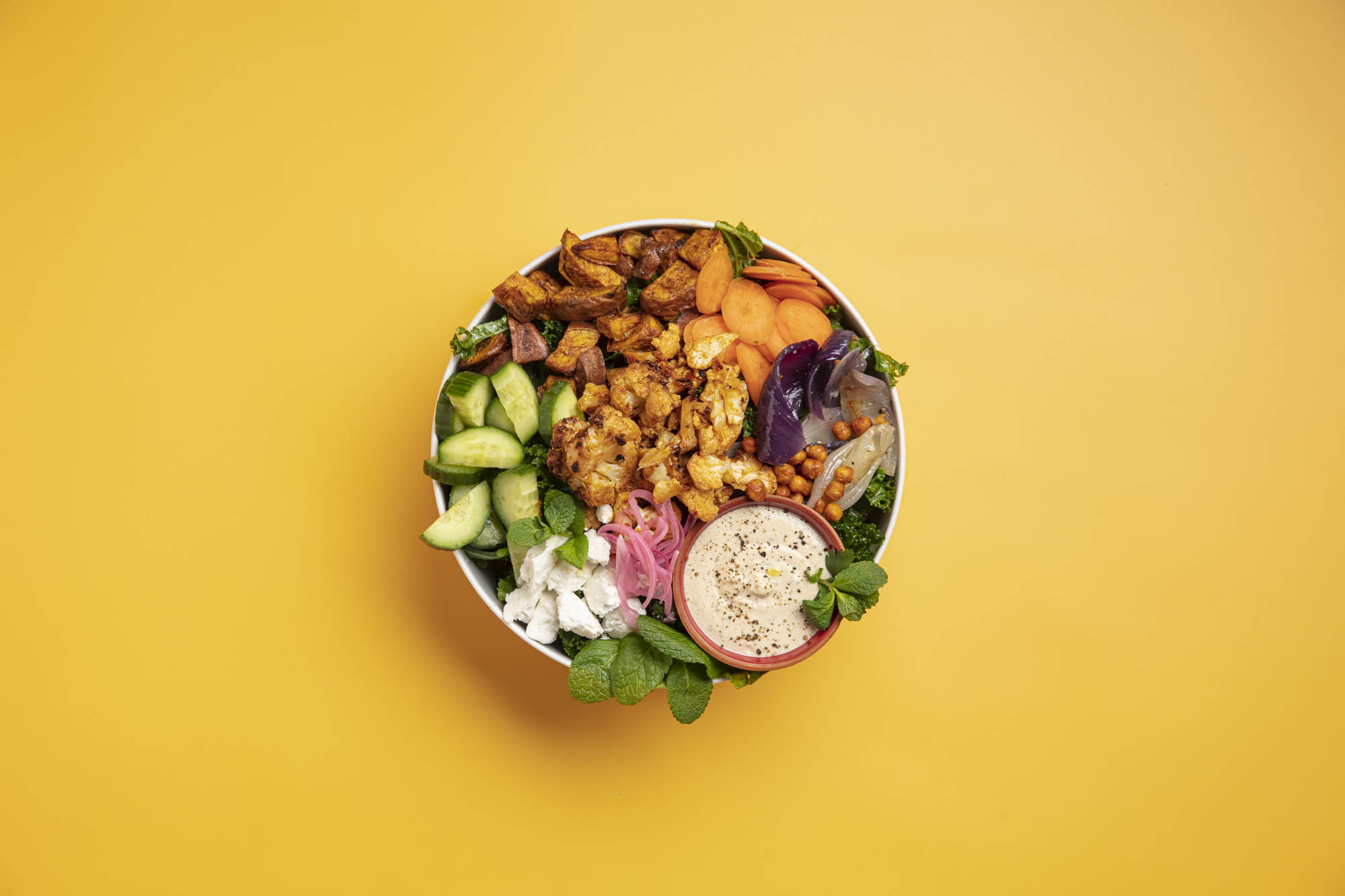 Home | The Salad Project