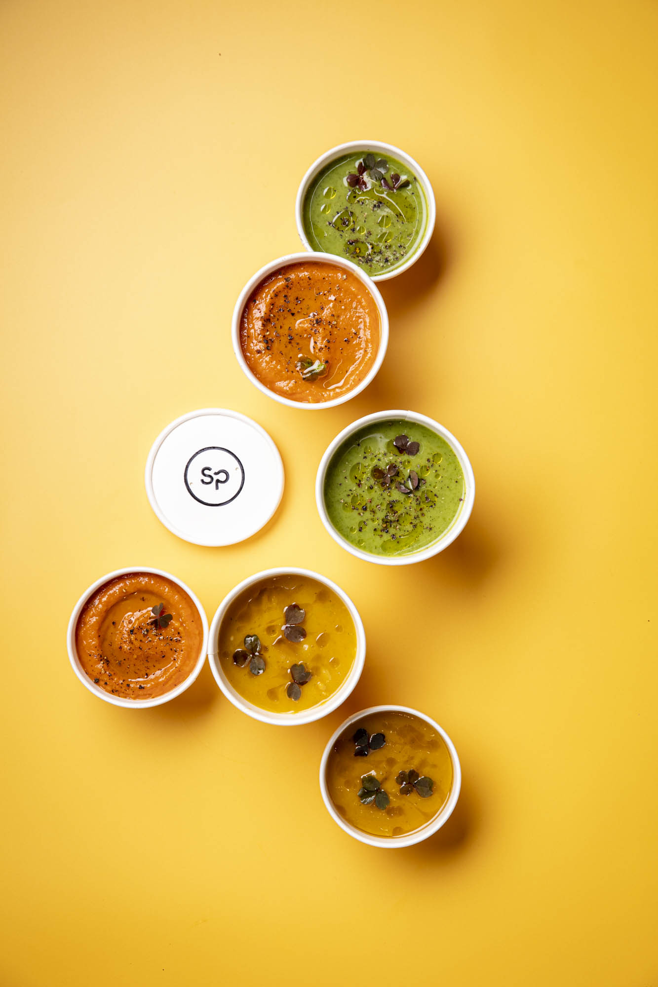 Home | The Salad Project