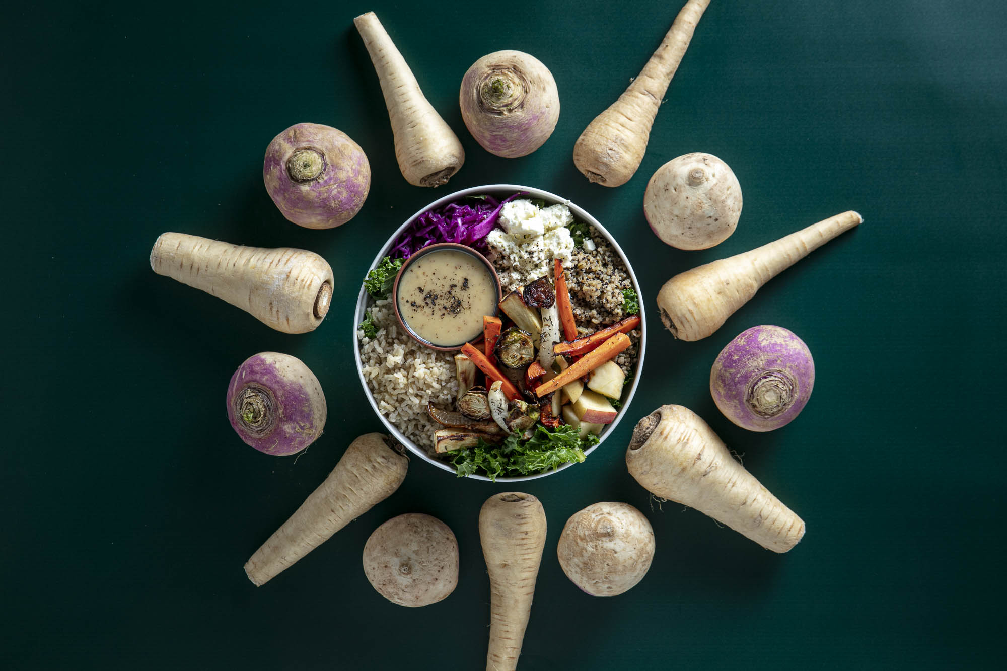 Home | The Salad Project