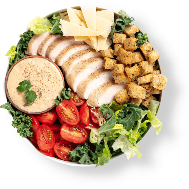 Menu | The Salad Project