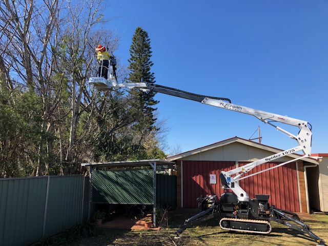 Tree Removal Toowoomba | Tree Loppers & Lopping Services