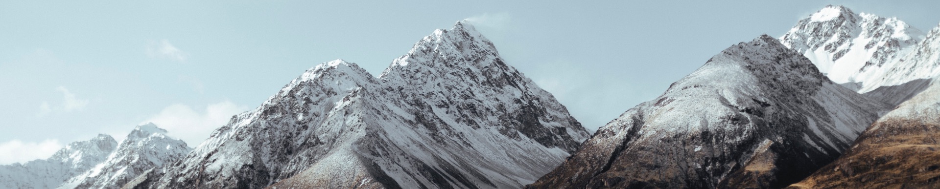 About Us | Fresha Export