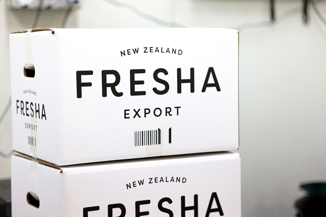 Fresha Export