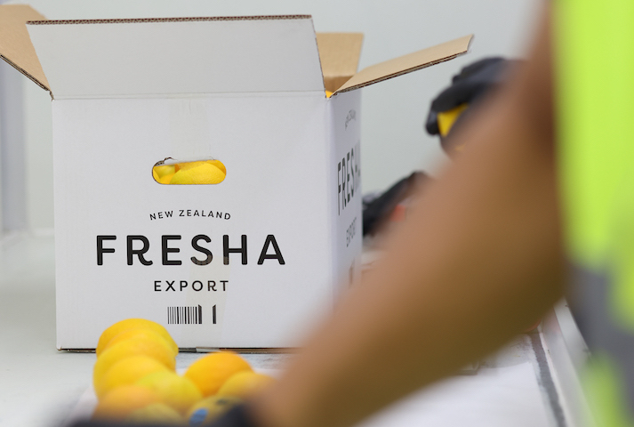 Fresha Export