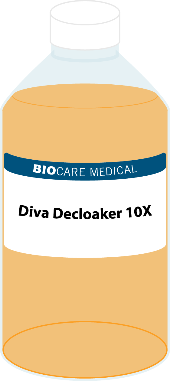 IHQ segunda etapa: recuperación de antígenos