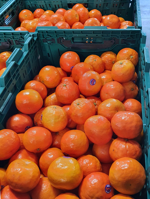 Product of the Month | Produce