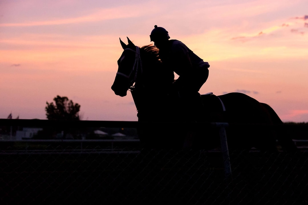 Welcome to Mike Maker Racing Stable | Thoroughbred Racing