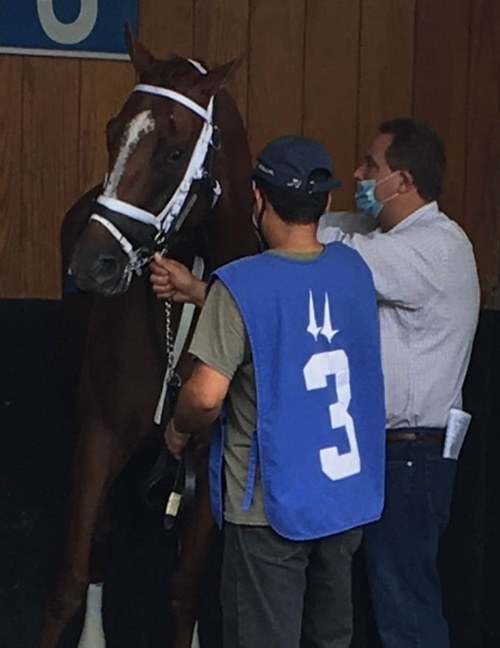 Learn More About Mike Maker Racing Stable