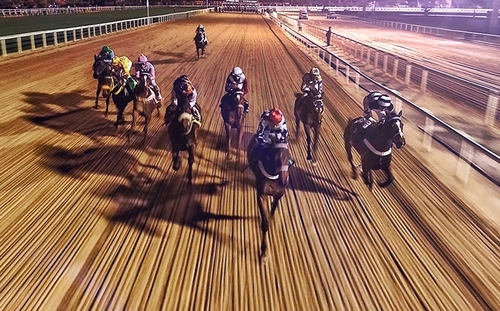 Welcome to Mike Maker Racing Stable | Thoroughbred Racing