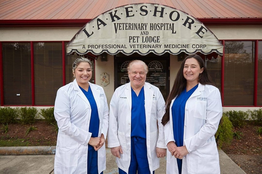 Affordable Animal Hospital in Mandeville, LA I Lakeshore Veterinary ...