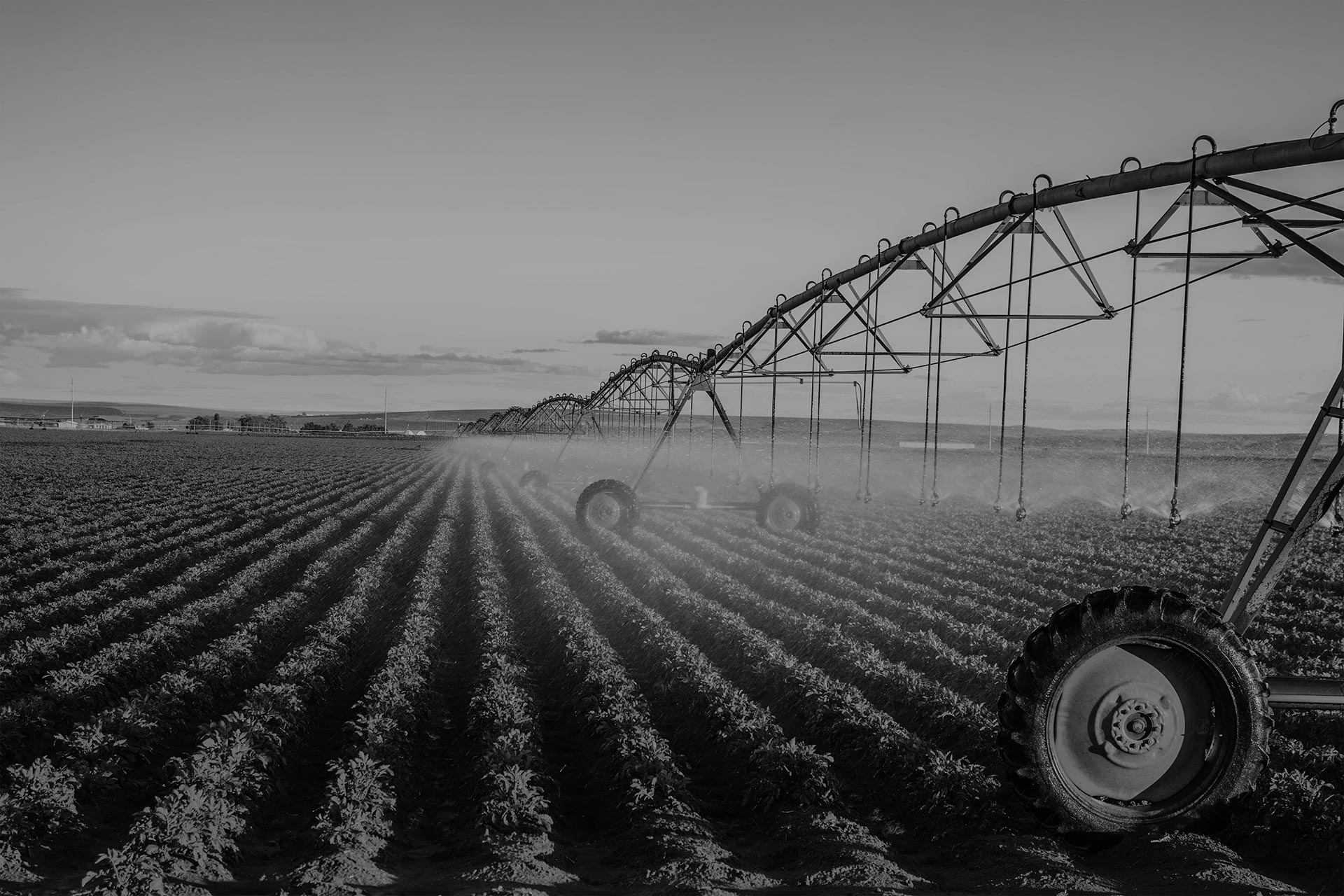 The Panhandle Runs on Water