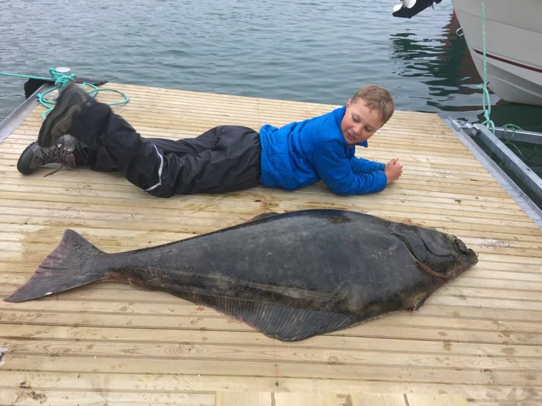 Deep Sea Fishing | Båtsfjord Brygge