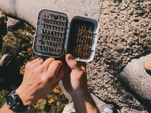 Kings River Fly Fishing Guide Service - Scott MacDonald