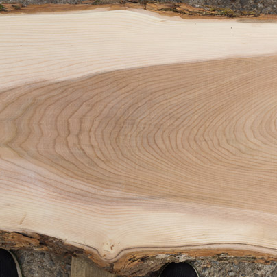 Stunning hardwood boards from WP Hardwood.