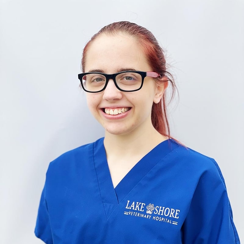 Our Office Gallery I Lakeshore Veterinary Hospital