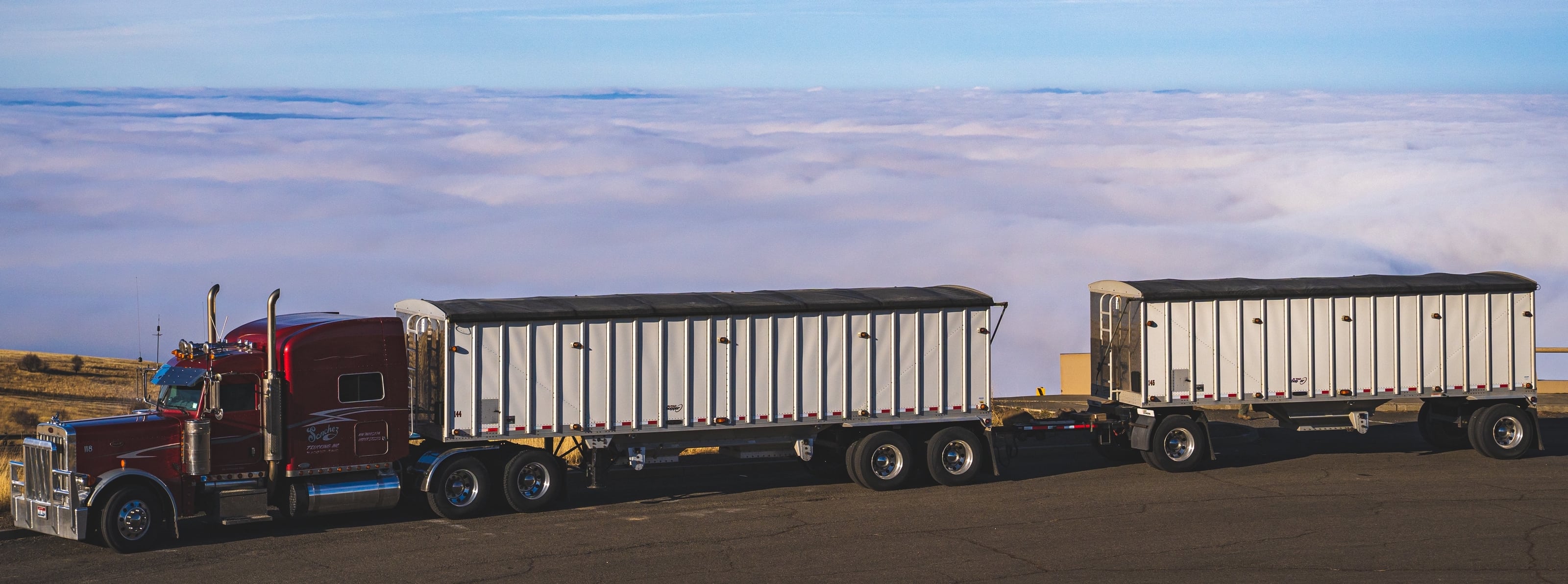 Everything You Need to Know About Pup Trailers