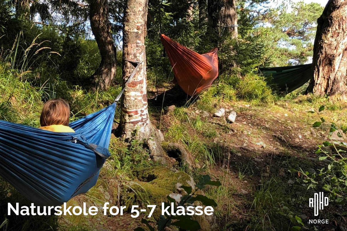 Artikler på ADHD Norge