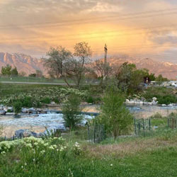 Utah Couriers - We Courier & Deliver Your Packages on Same Day in Utah