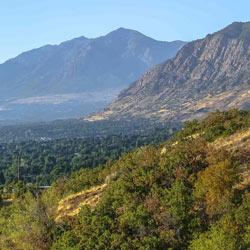 Utah Couriers - We Courier & Deliver Your Packages on Same Day in Utah