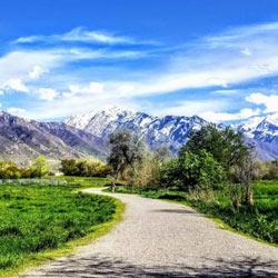 Locations | Delivery, Courier & Freight Services - Utah Couriers