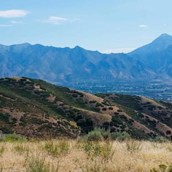 Locations | Delivery, Courier & Freight Services - Utah Couriers