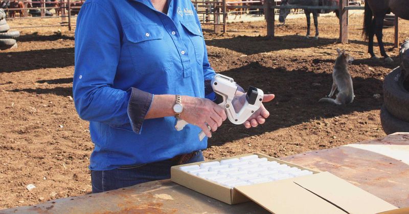 Australia by Design: Innovations | Featured Innovations