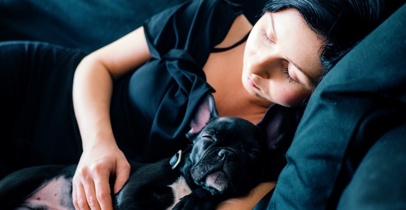 10 Things to Say (and Not to Say) to Someone Grieving a Pet ...
