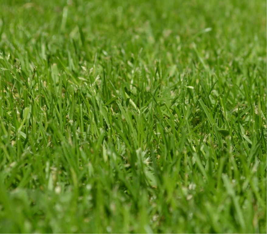 HelloTech | Home Energy