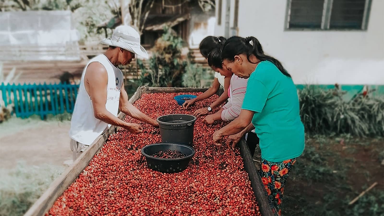 Support for Women Coffee Farmers