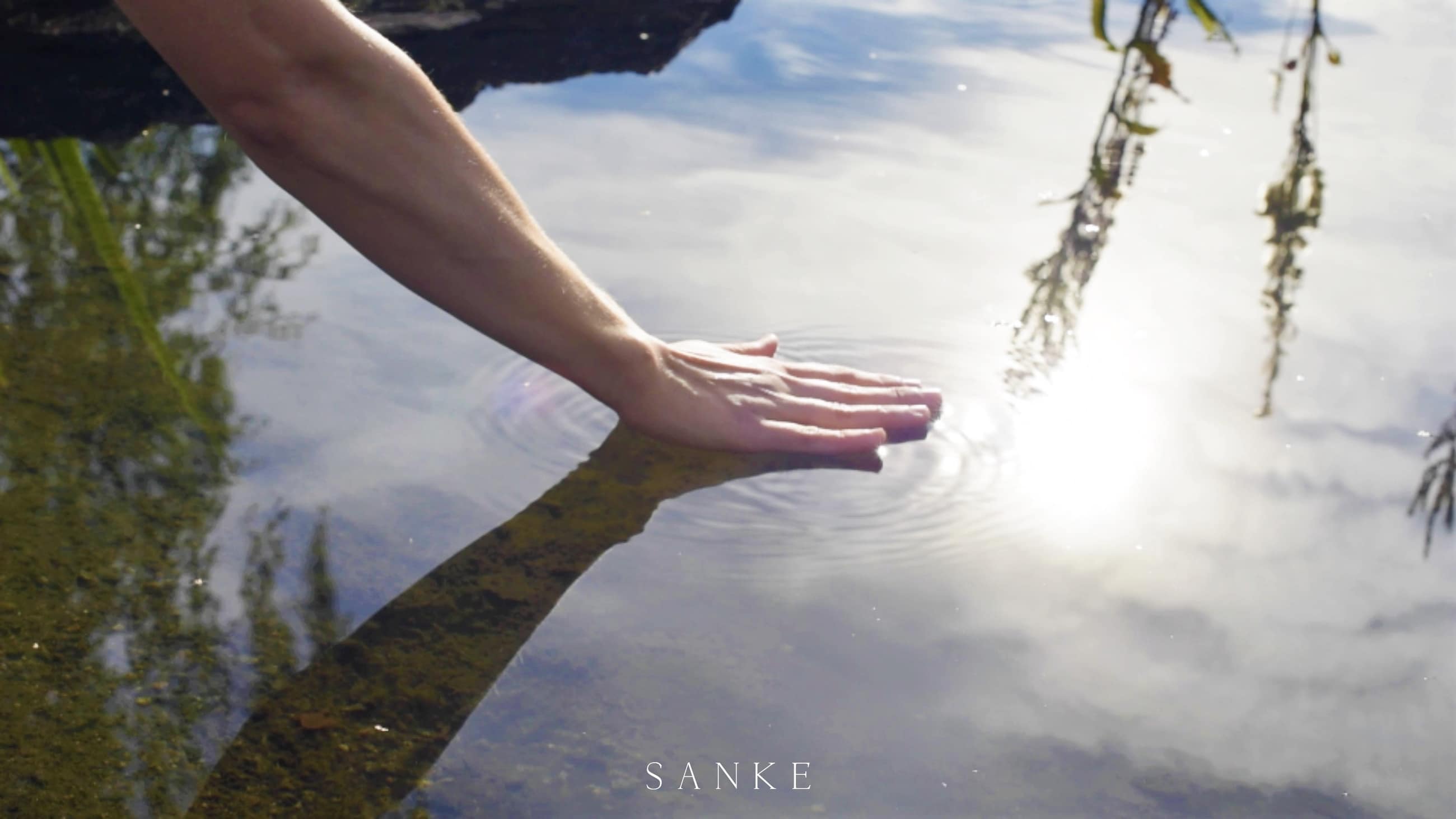 SANKE - Sanke of Norway