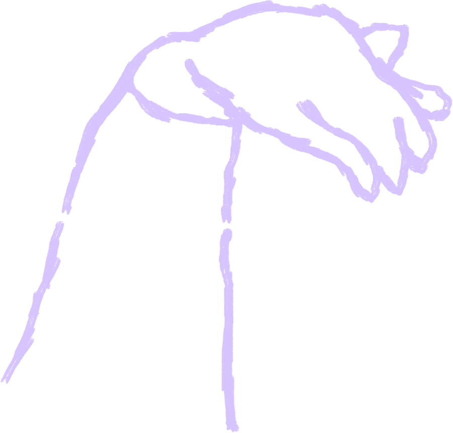 M'THEYDY 9 - nathan ch'a