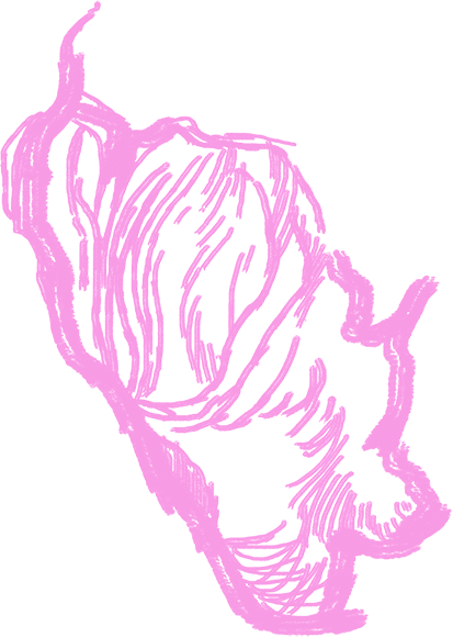 M'THEYDY 25 - nathan ch'a