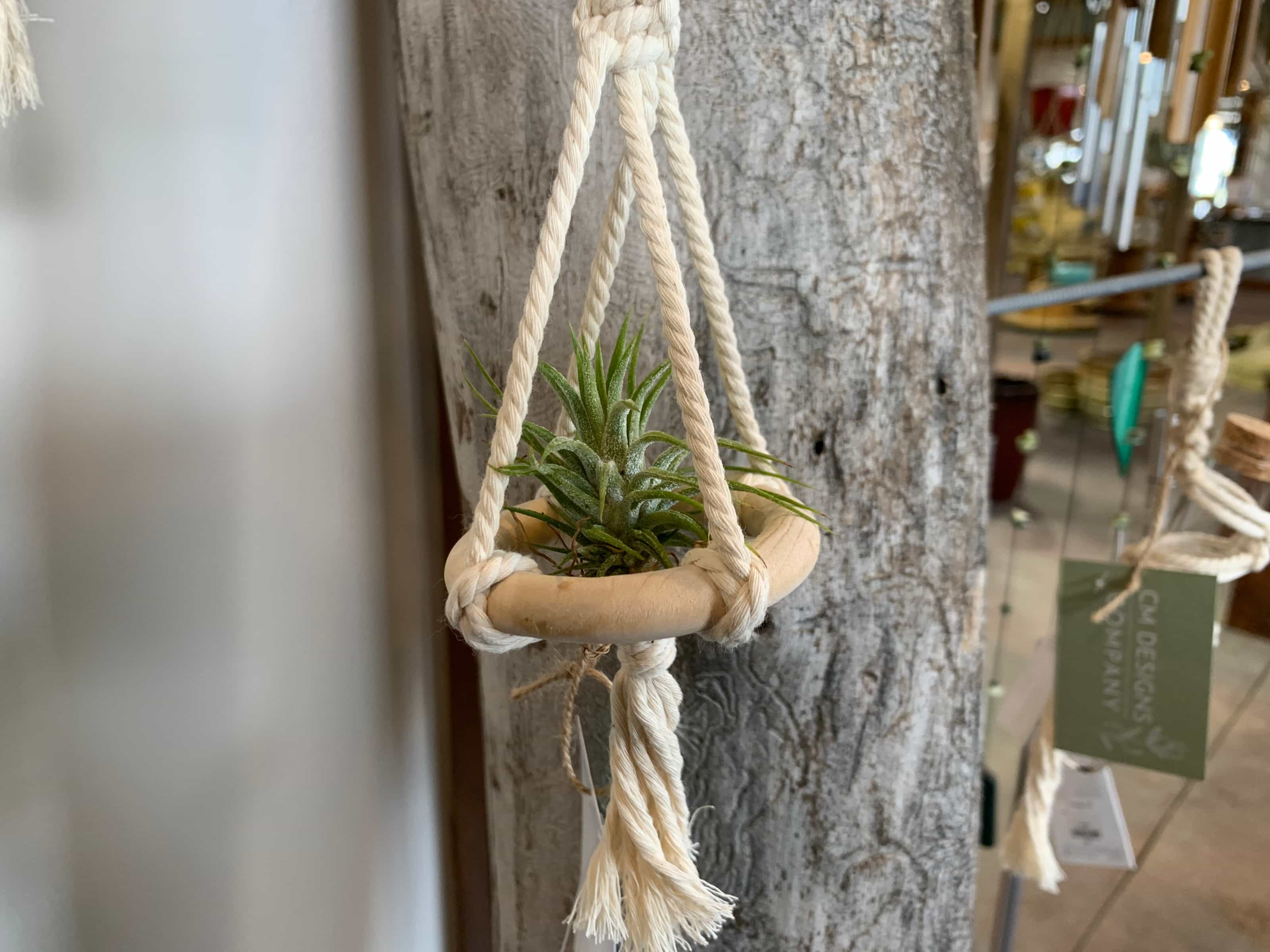 The Refuge at Landmark - Gift Shop Homepage