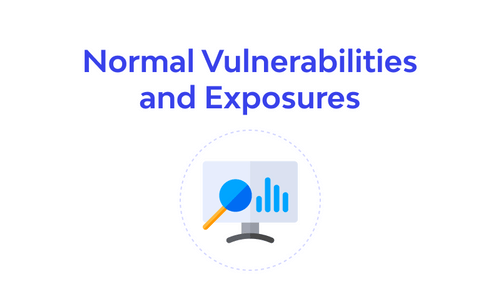 What is CVE? Common Vulnerabilities & Exposures Explained