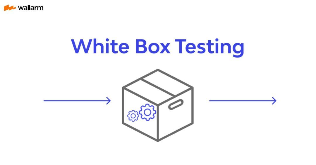 What is White Box Testing? Types, Techniques, Examples