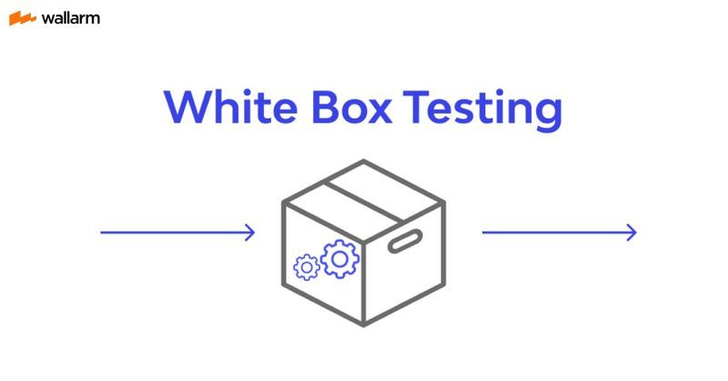 What is White Box Testing? Types, Techniques, Examples