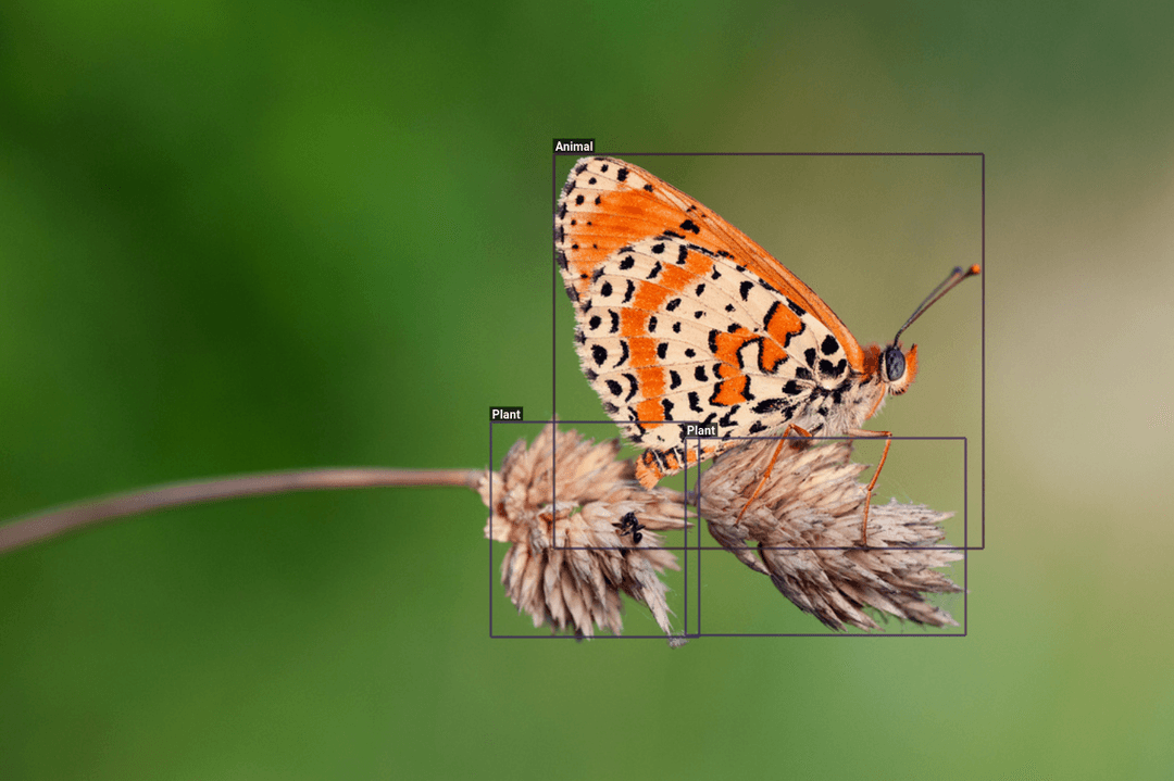 Aquarium | ML Data Operations Platform