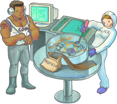 Sketchy | Master your medical studies with powerful visuals