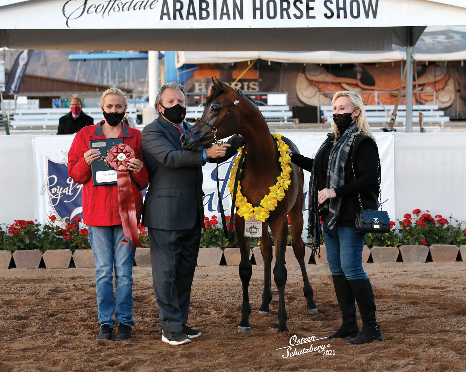 2021 Scottsdale Arabian Horse Show :: Arabian Horse Association of Arizona