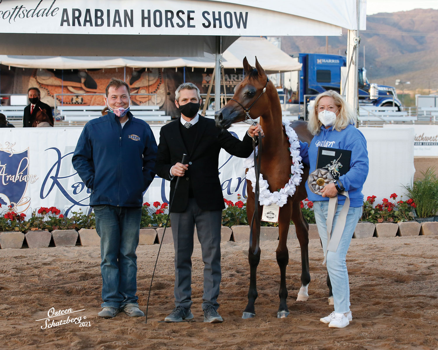 2021 Scottsdale Arabian Horse Show :: Arabian Horse Association of Arizona