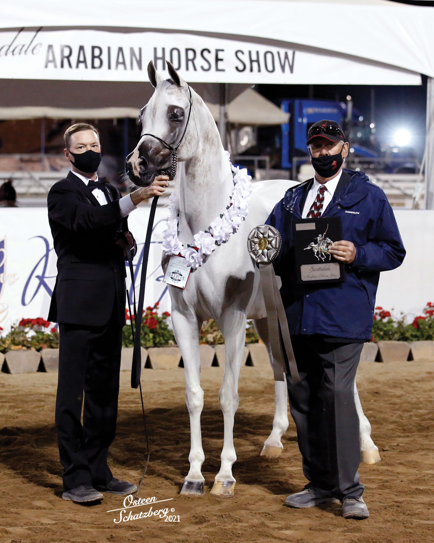 2021 Scottsdale Arabian Horse Show :: Arabian Horse Association of Arizona