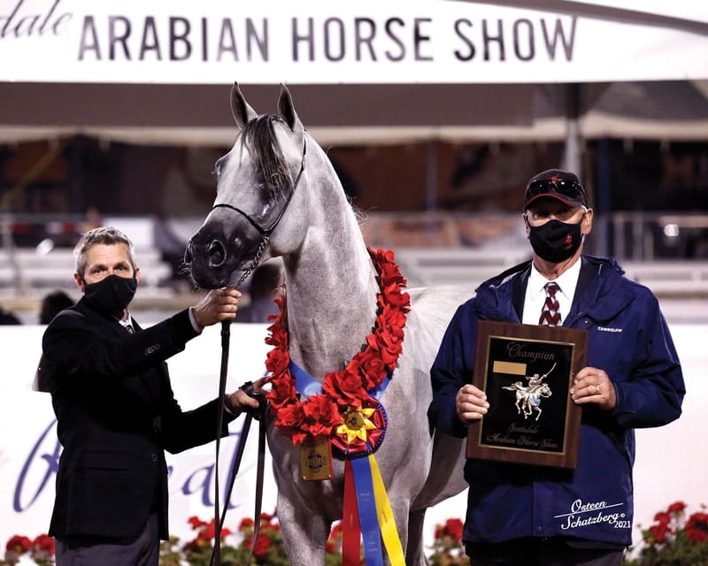 2021 Scottsdale Arabian Horse Show :: Arabian Horse Association of Arizona