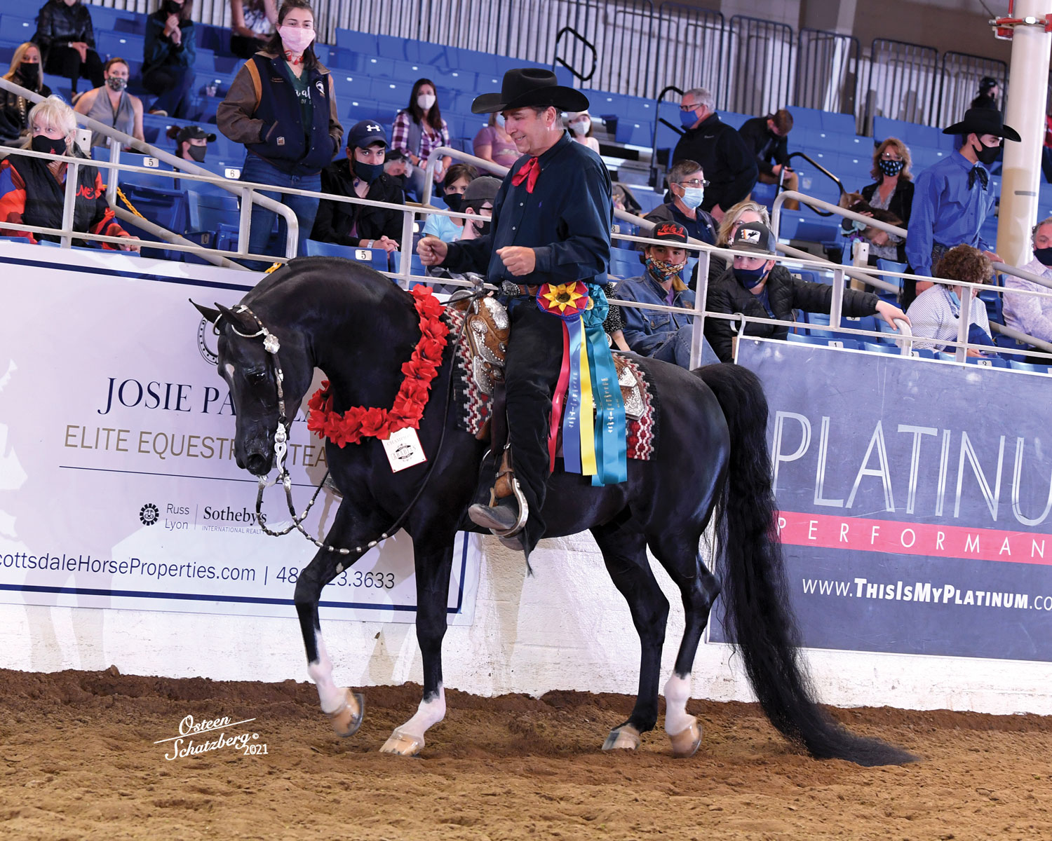 2021 Scottsdale Arabian Horse Show :: Arabian Horse Association of Arizona